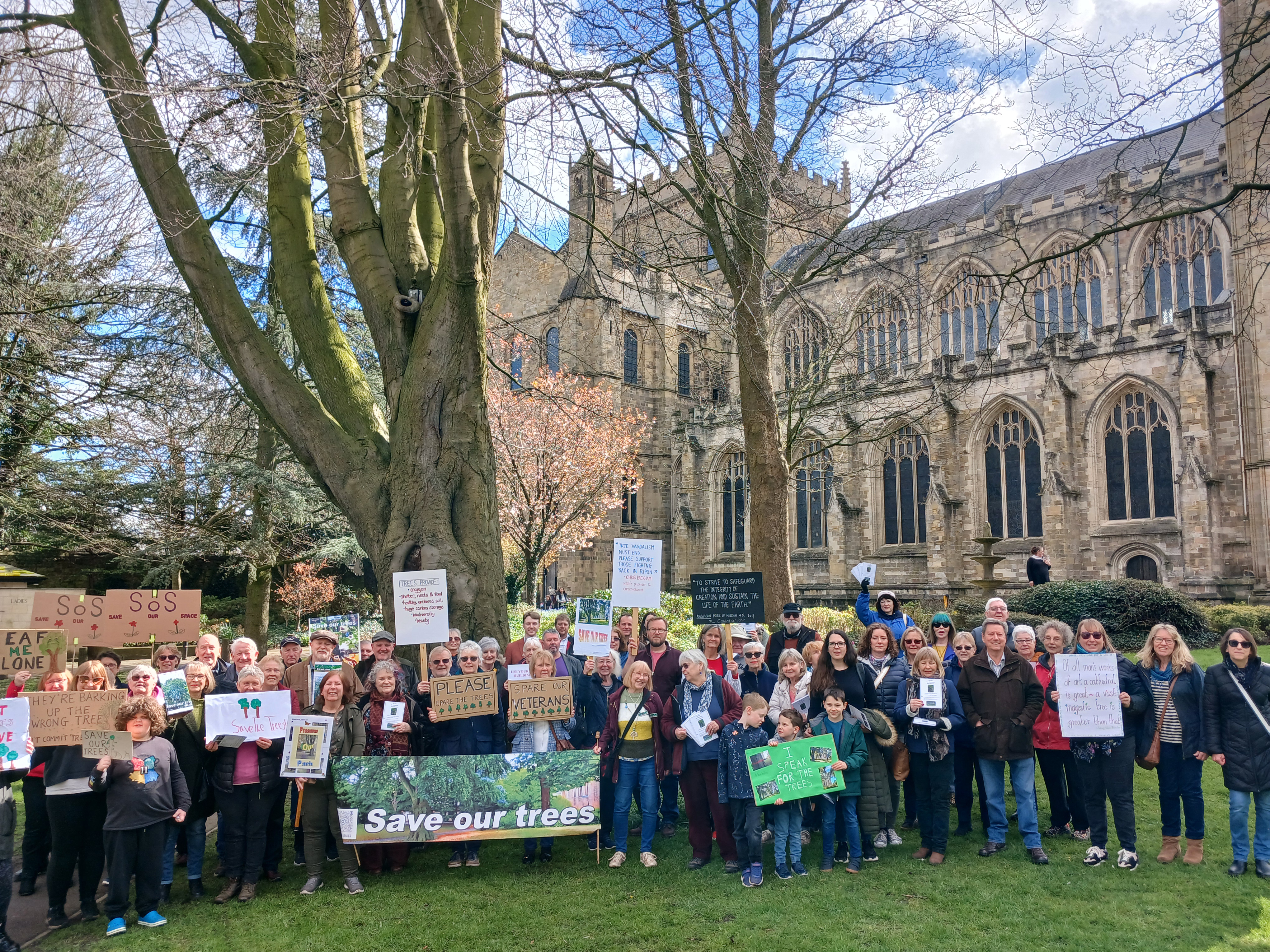 Save Our Veteran Tree