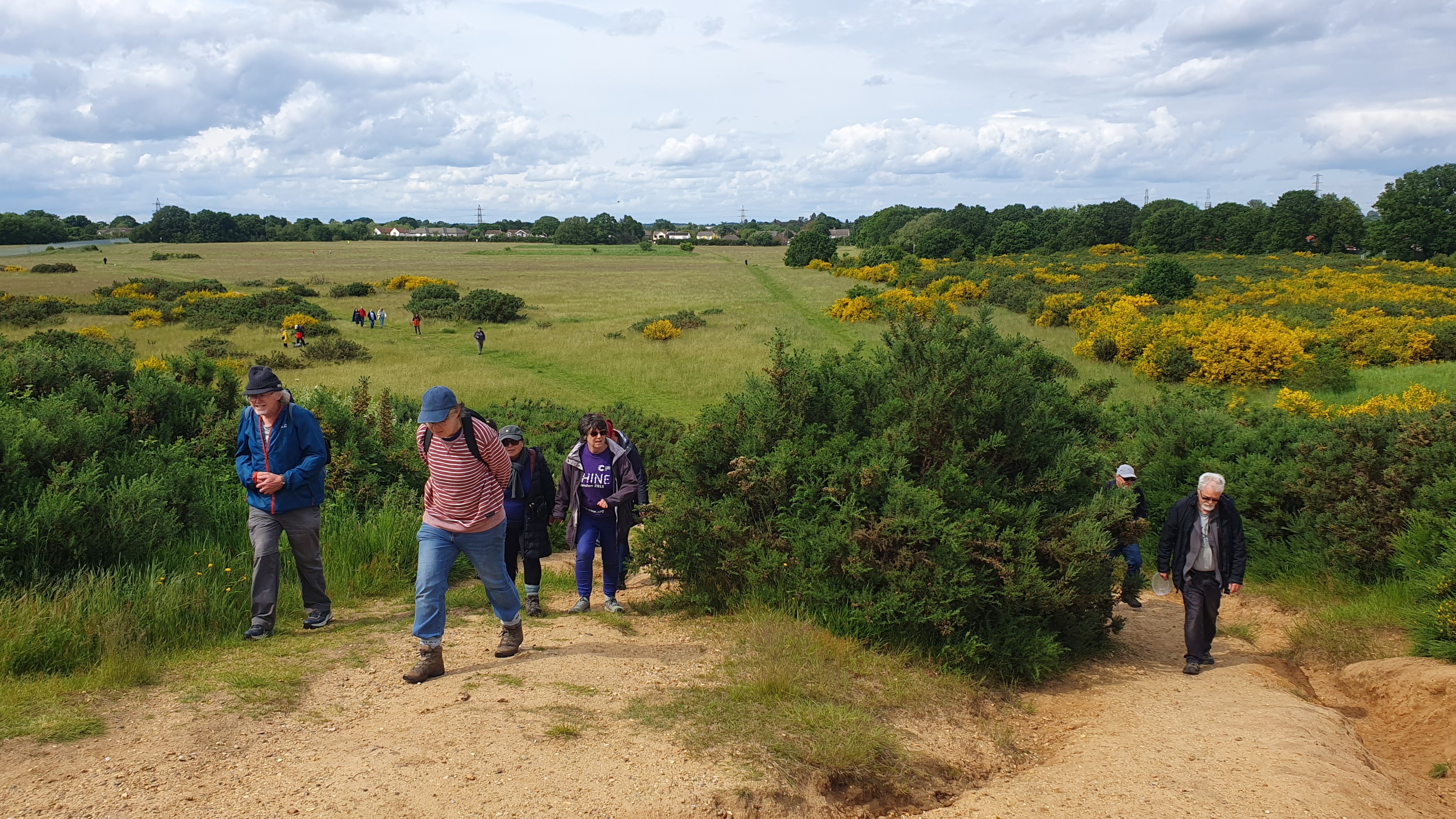 Help us defend the Middlewick Ranges