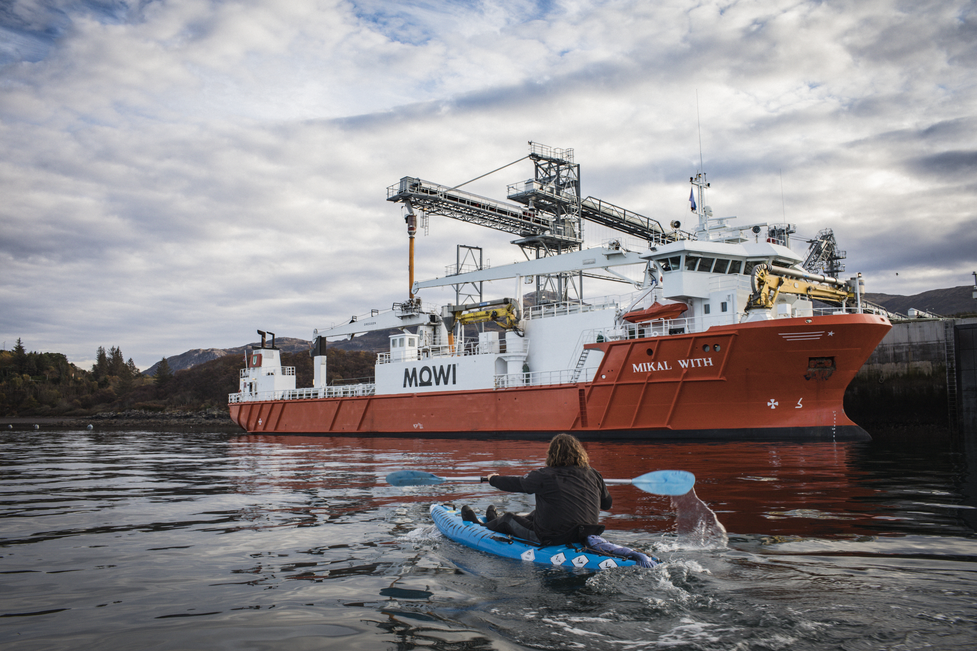 Help Expose the Welfare Nightmare of Salmon Farming!