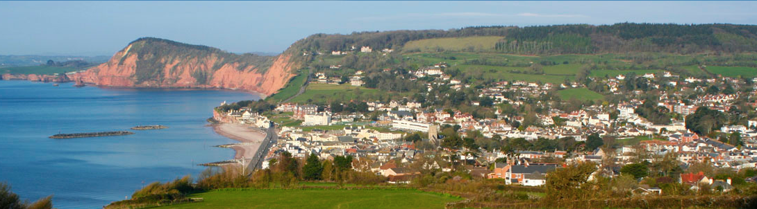 Save historic Knowle Parkland