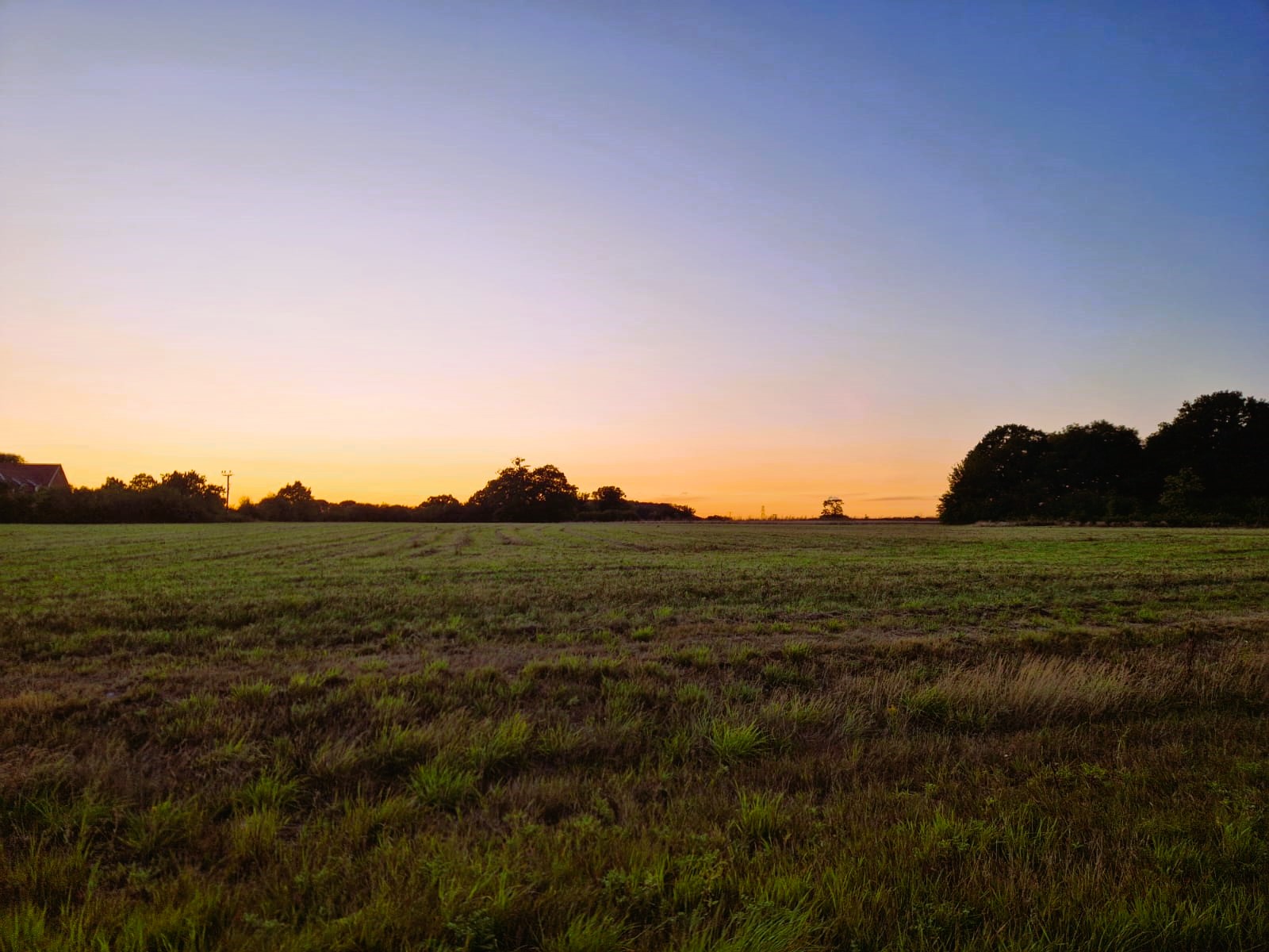 Judicial Review of Gillingham (Norfolk) Services Expansion Decision