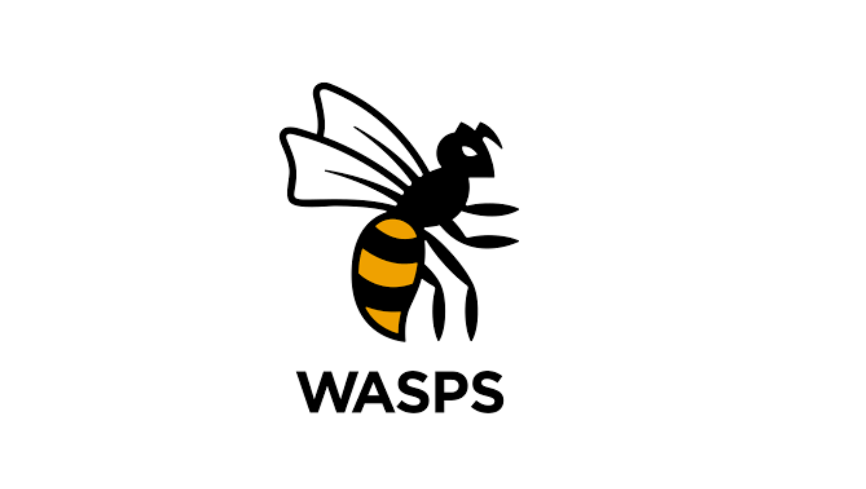WASPS BONDHOLDERS COURT HEARING 17/11/2022
