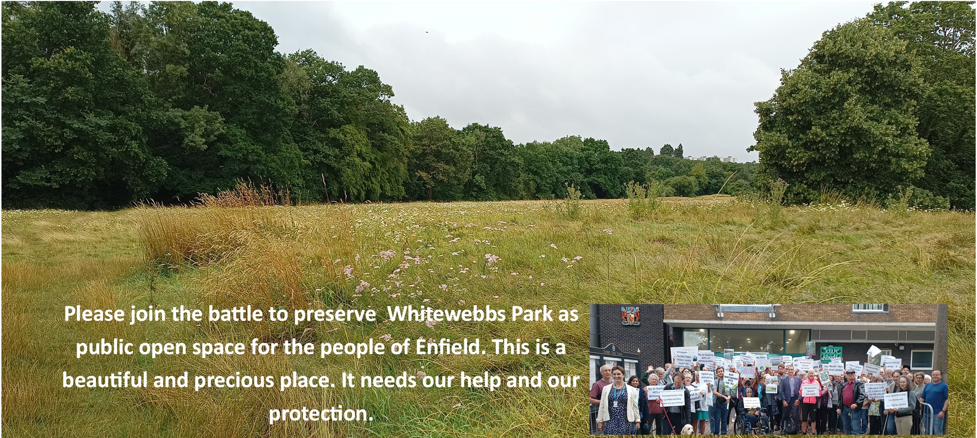 Whitewebbs Park - help fund the Judicial Review